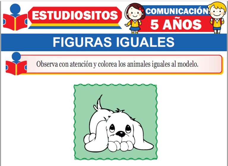 Figuras Iguales para Niños de Cinco Años » (Fichas GRATIS) 📚