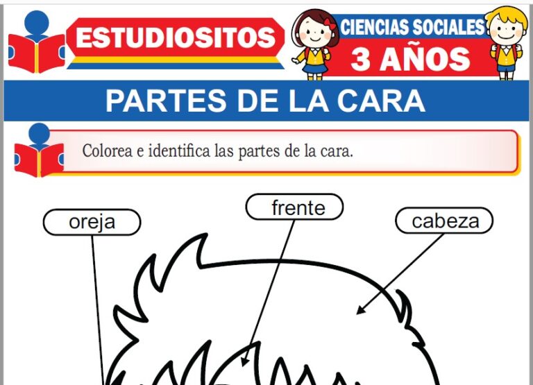 Partes de la Cara para Niños de Tres Años » (Fichas GRATIS) 📚